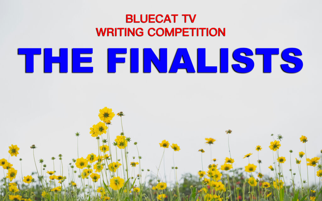 2025 TV Finalists - BlueCat TV Writing Competition