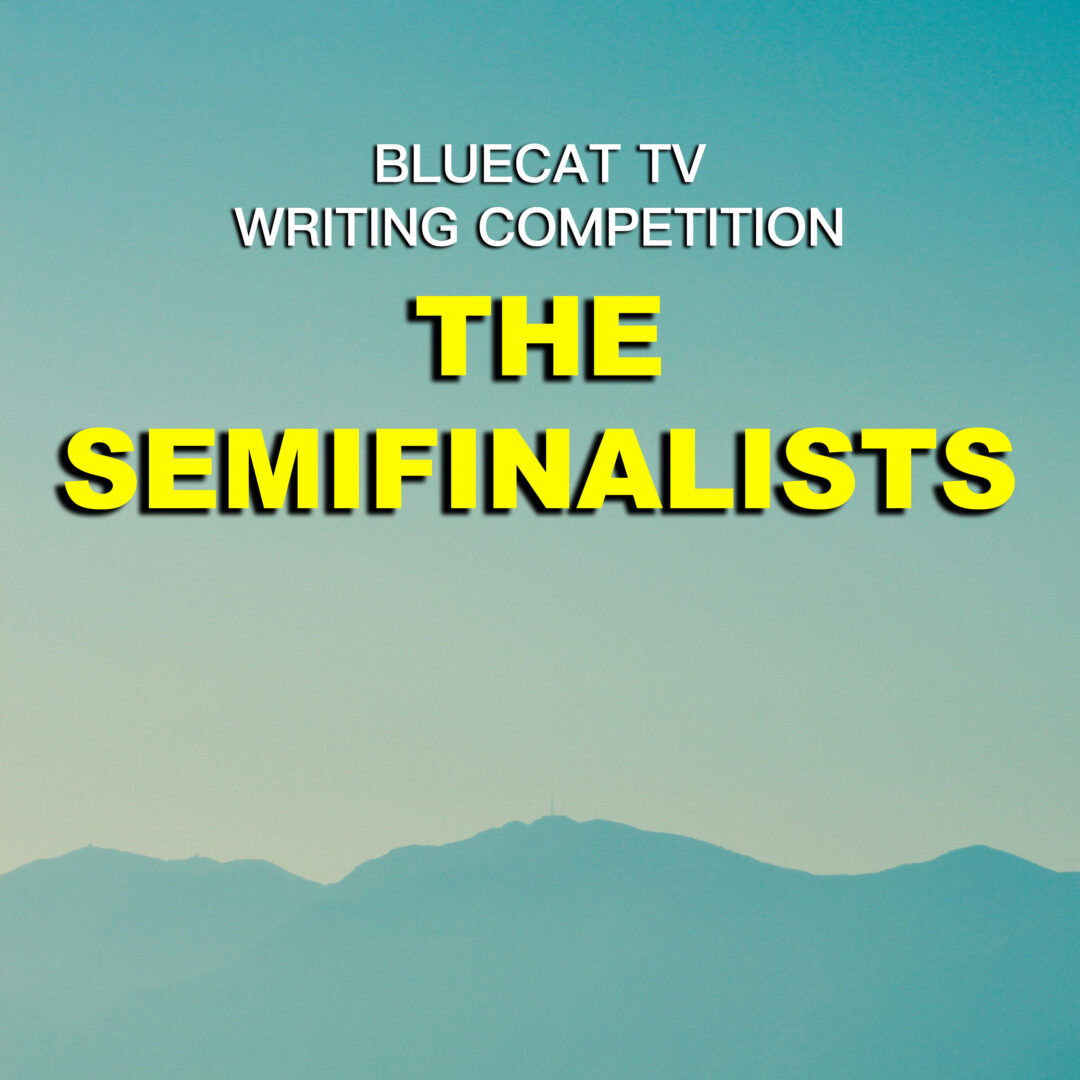 BlueCat Pilot Script Competition